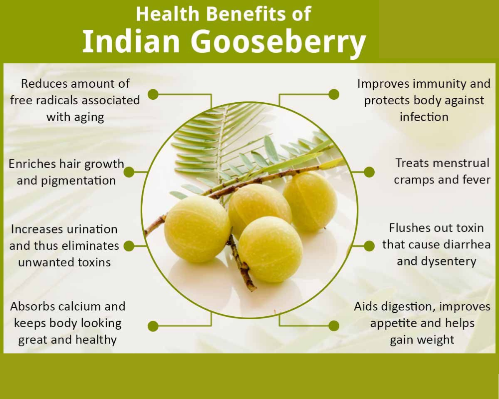 Amla (Indian gooseberry) Extract - Organic Herbs
