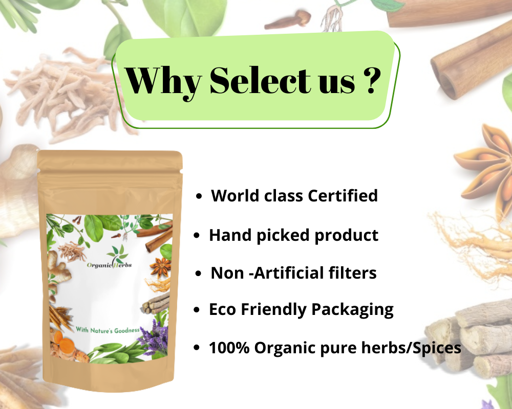 Amla (Indian gooseberry) Extract - Organic Herbs